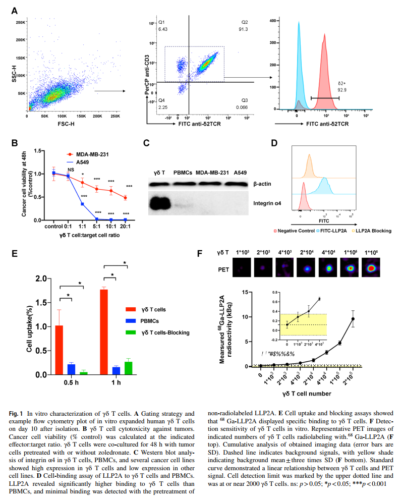 【最NEW情报！】VLA-4靶向PET显像用于γδT细胞体内示踪和肿瘤治疗监测的实验研究 - 知乎