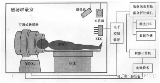 神经反馈丨关于脑磁图（MEG）的那点事 - 知乎