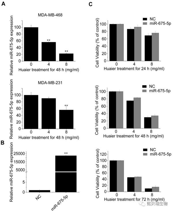 上海懿贝瑞：槐耳提取物通过LncRNA-H19 / MiR-675-5p途径抑制乳腺癌 - 知乎