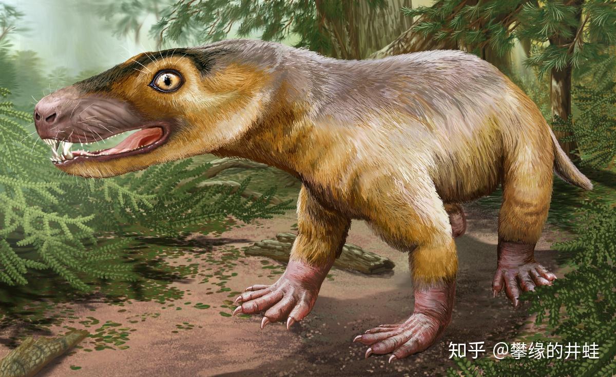 【地球演义】百兽图7：赶狻猊 - 知乎