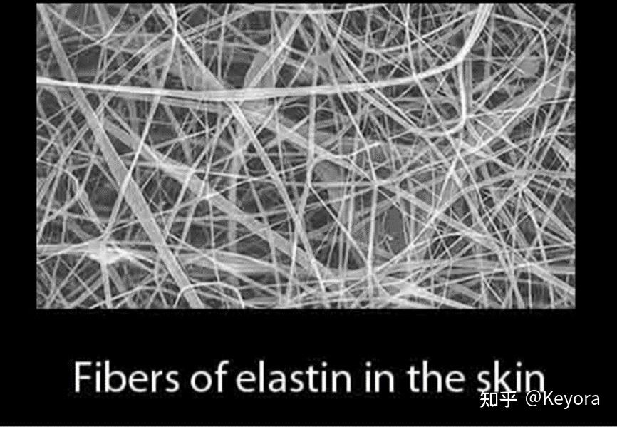 Keyora 头发/皮肤/指甲 22 in 1 复合维生素 - 知乎