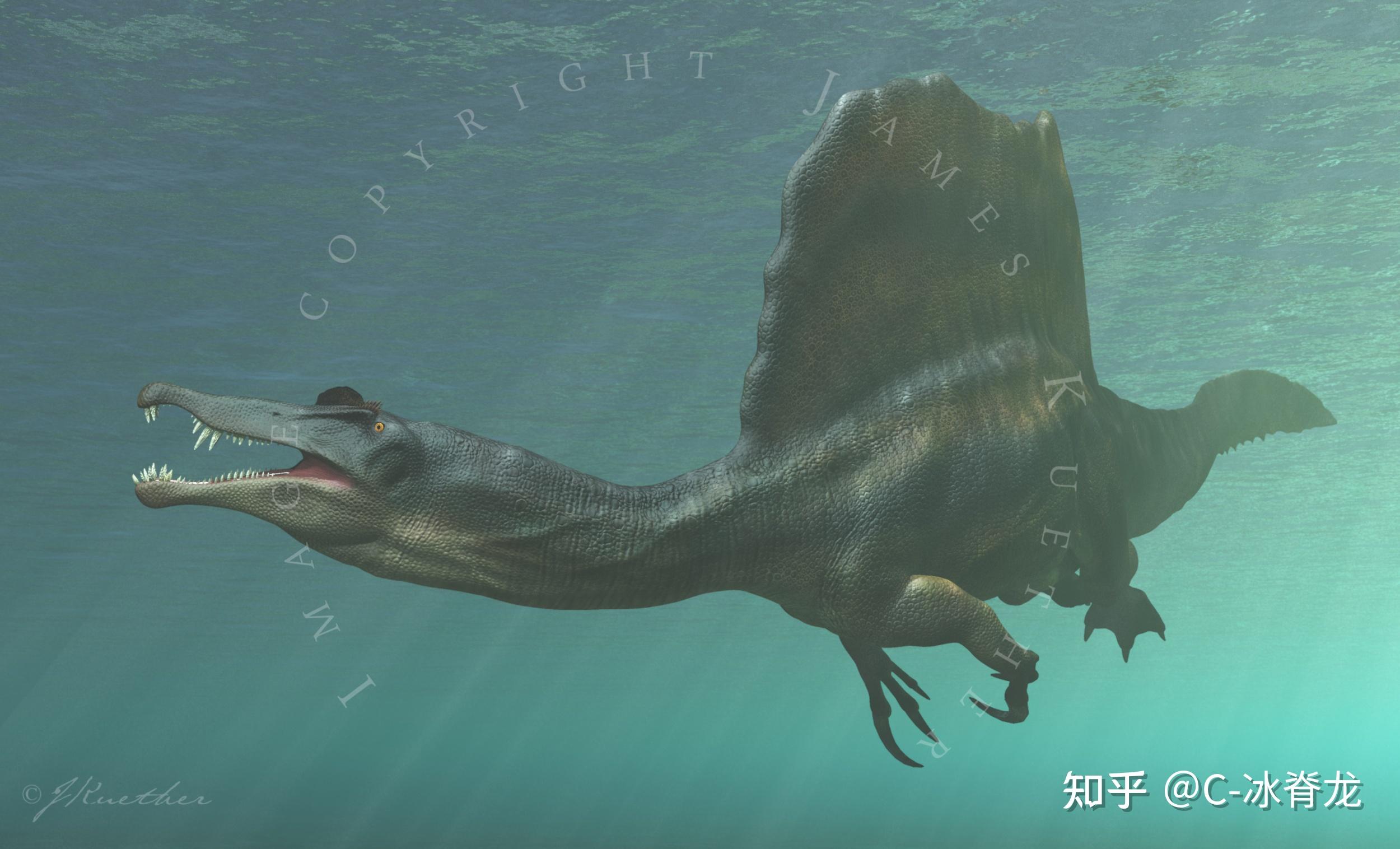 【神秘动物学】施佩科维（Chipekwe） - 知乎