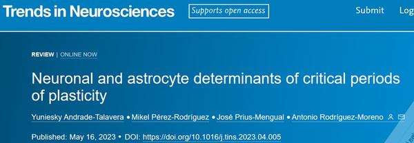 Trends in Neurosci:神经元和星形胶质细胞对可塑性关键时期影响 - 知乎