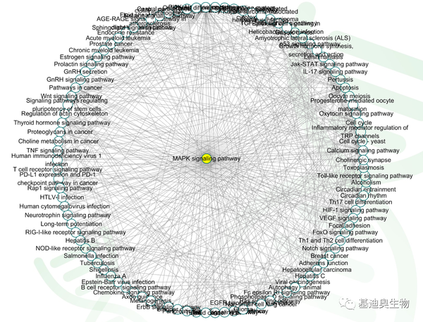 MAPK通路(ko04010)专题解析（上） - 知乎
