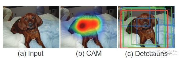 Weakly Supervised Complementary Parts Models for Fine-Grained Image Classification from the ...