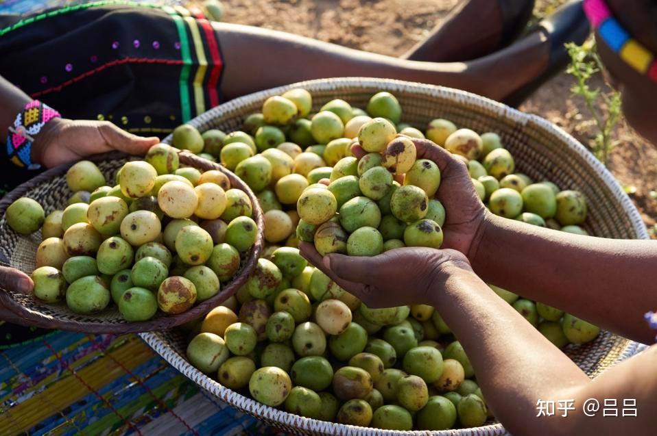 百利甜的最大对手——Amarula大象奶油利口酒 - 知乎