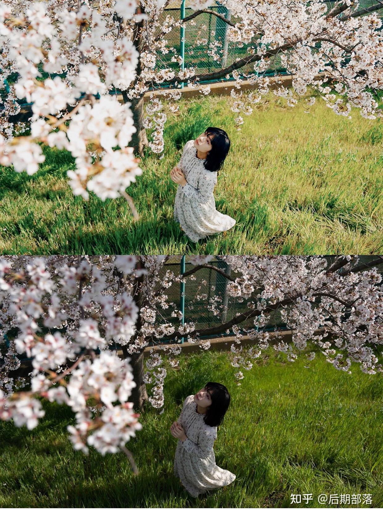 【胶片预设】LR胶片预设 SP-3000扫描仪 配置文件预设 PS/ACR - 知乎