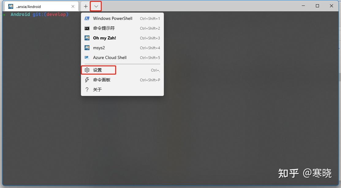 Windows 11 + Terminal + msys2 + oh-my-zsh - 知乎
