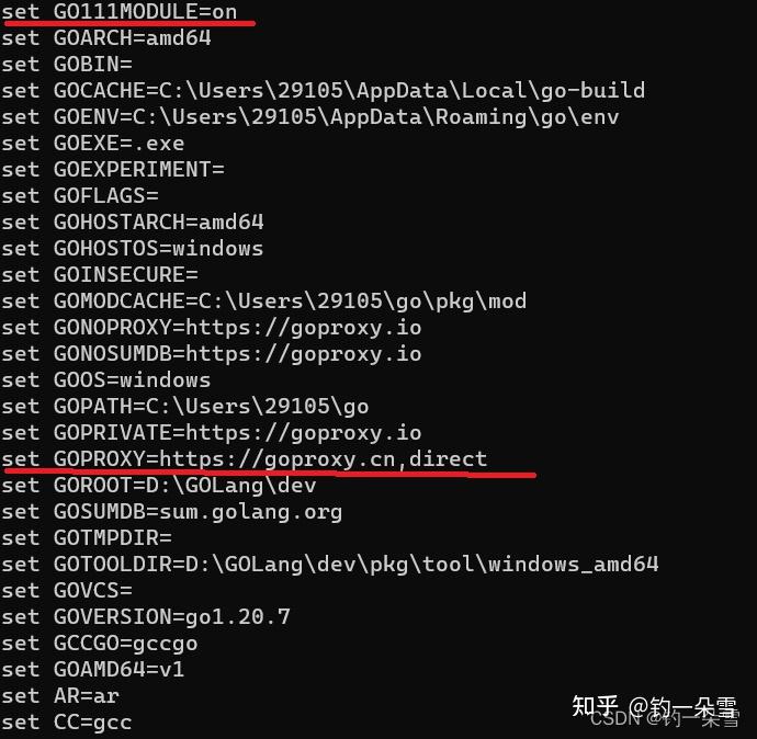 vscode配置go - 知乎