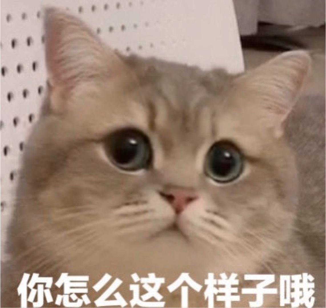 有哪些沙雕又可爱的表情包? 知乎