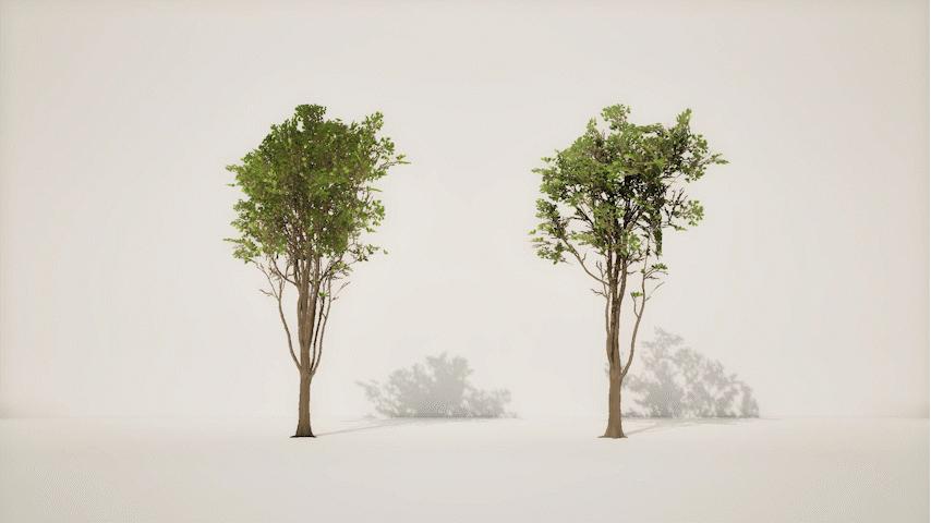 关于Speedtree导出的Billboard的一些探索...... - 知乎