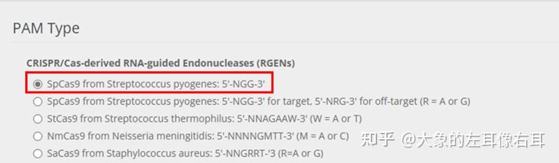 利用pCAS/pTargetF系统对大肠杆菌基因组进行基因编辑(以敲除endA基因为例） - 知乎