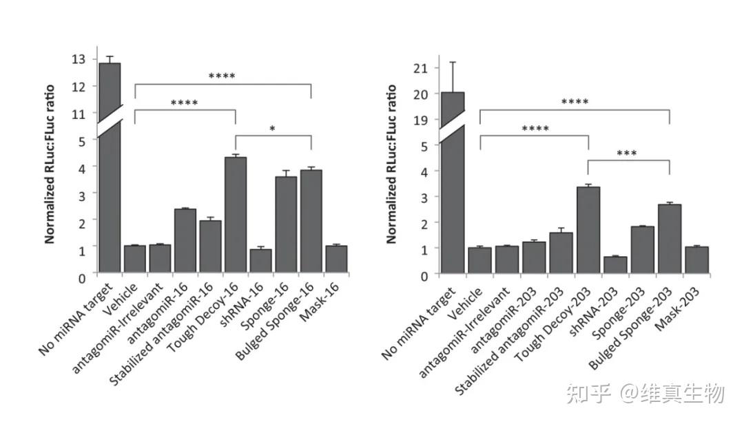 MiRNA功能研究工具-miRNA inhibitors - 知乎