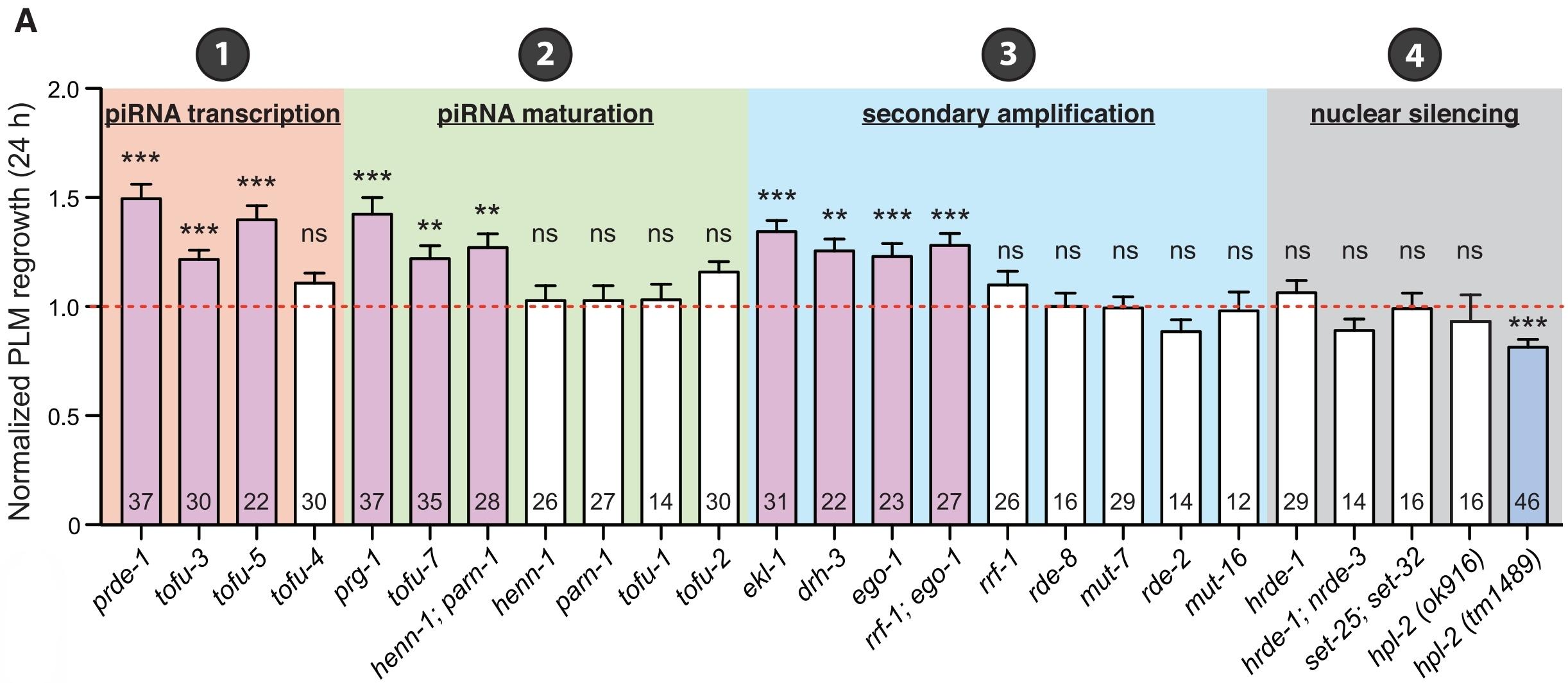 RNA干扰（一）——mi-！si-！pi-！ - 知乎