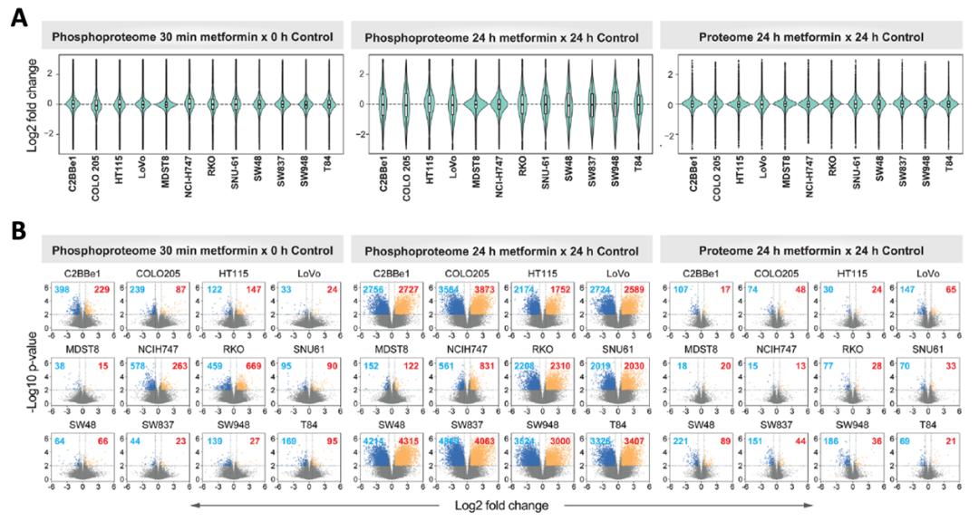 Clin Transl Med︱耶鲁大学刘延盛团队通过磷酸化蛋白质组学揭示二甲双胍在结直肠癌细胞中的作用机制 - 知乎
