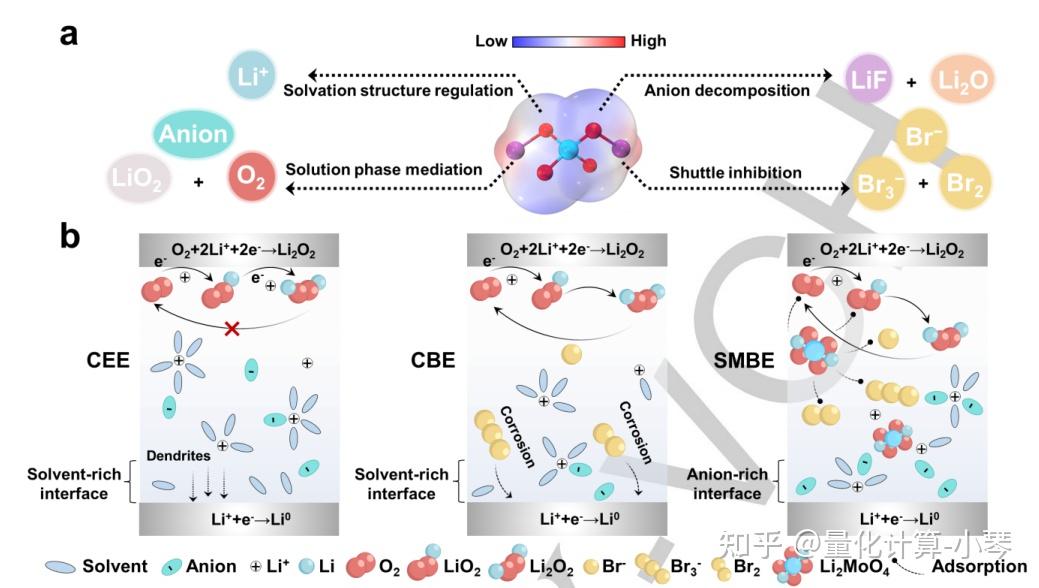 北京理工大学陈人杰团队: Angew. Chem. Int. Ed：Li2MoO4阴离子增强溶剂化鞘层促进溶液相介导的Li-O2电池 - 知乎