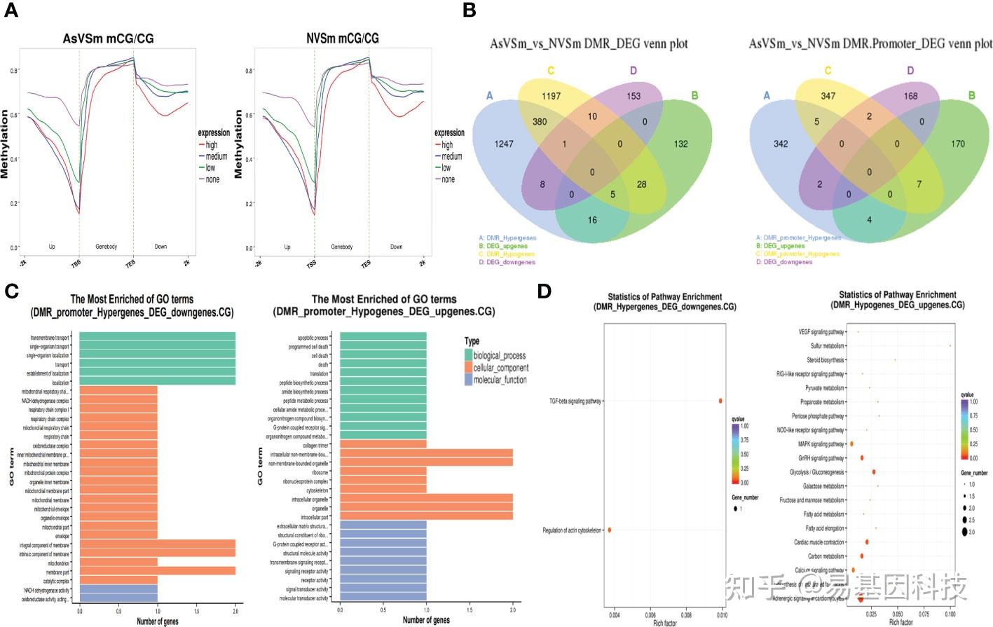 易基因： WGBS等从DNA甲基化揭示杀鲑气单胞菌灭活疫苗对大菱鲆的免疫力：抗性育种 - 深圳市易基因科技 - 博客园
