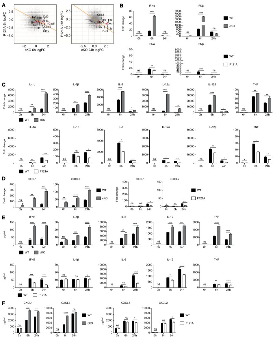 Cell Reports丨巨噬细胞自噬通过代谢改变调控炎症反应 - 知乎