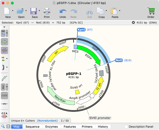 如何编辑DNA末端？_SnapGene - 知乎
