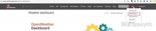 OpenWeatherMap天气API申请 - 知乎
