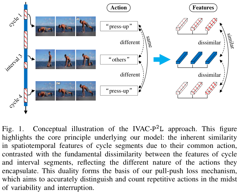 TMM 2025 视频动作计数新突破：IVAC-P²L 引入不规则重复先验，实现精准计数 - 知乎
