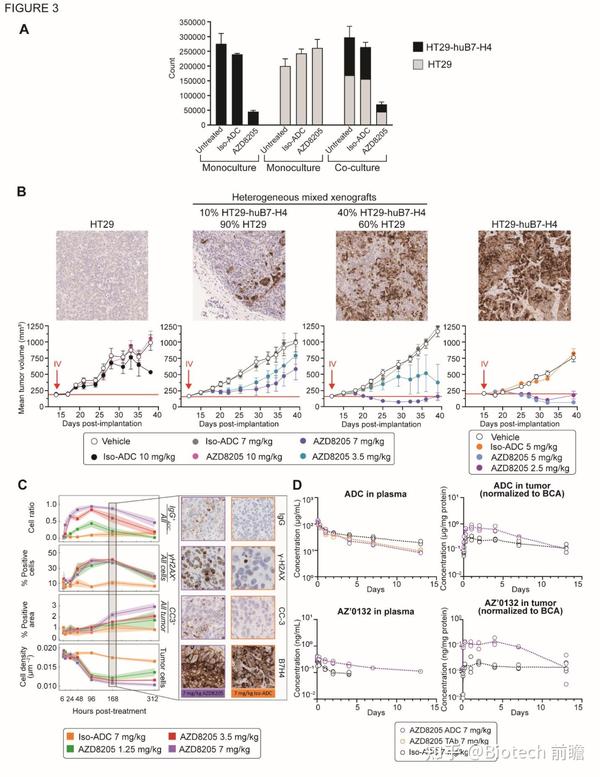 ADC赛道全速狂飙的AZ丨汇总DS-8201临床研究及下一代布局 - 知乎