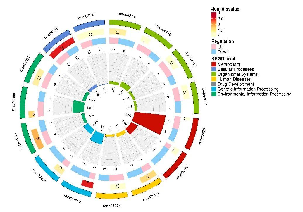 生信分析系列干货 | 蛋白质组学数据挖掘神器 — 功能富集分析 - 知乎