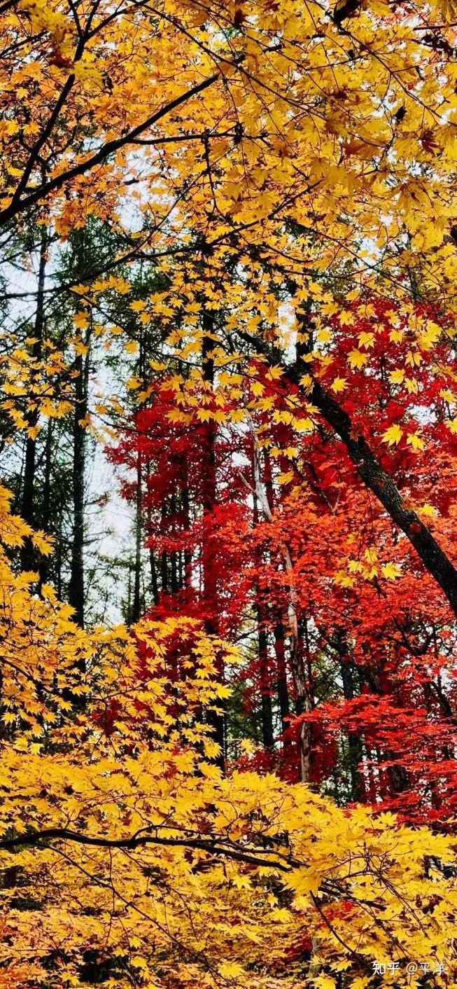 英语副词：gradually - 知乎