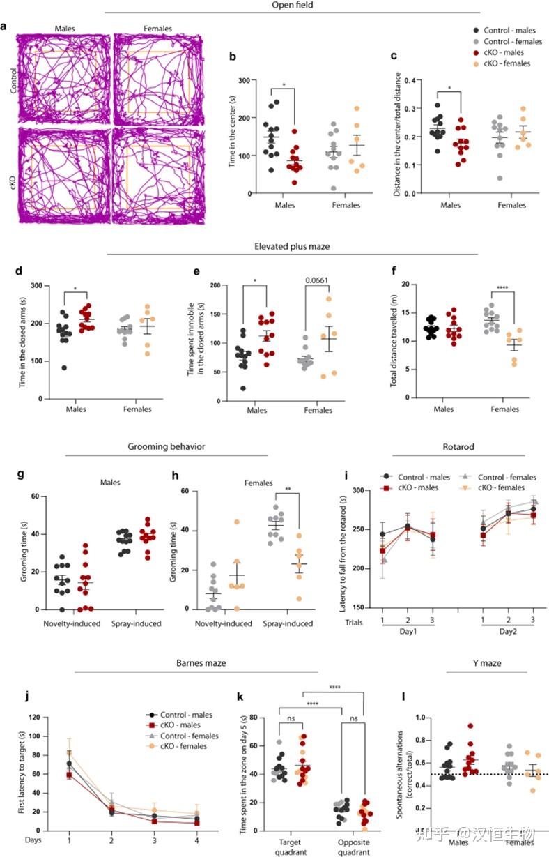 NAT COMMUN | 小胶质细胞MCT4的缺失可影响成年期的大脑功能 - 知乎