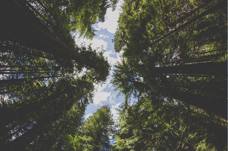 Ogonblick北欧时刻 | 可多场景使用的香薰系列，推荐入手 - 知乎