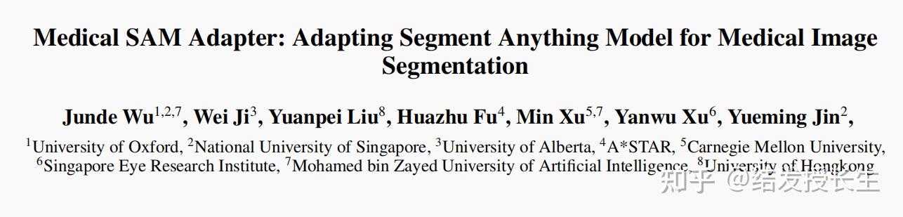 【SAM 相关】Medical SAM Adapter: Adapting Segment Anything Model for ...