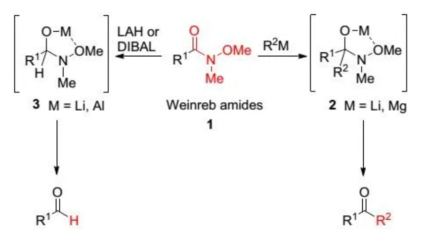 Weinreb Amide（温勒伯酰胺）的制备和应用 - 知乎