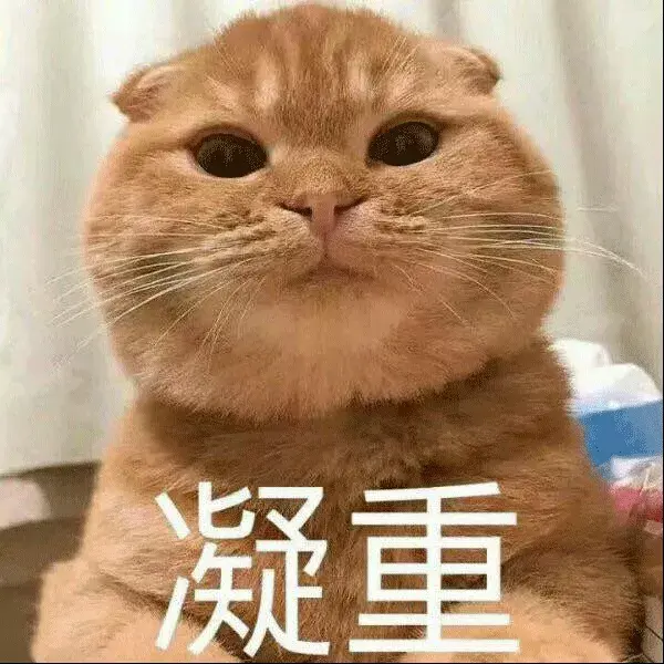 137张搞笑表情包 - 知乎