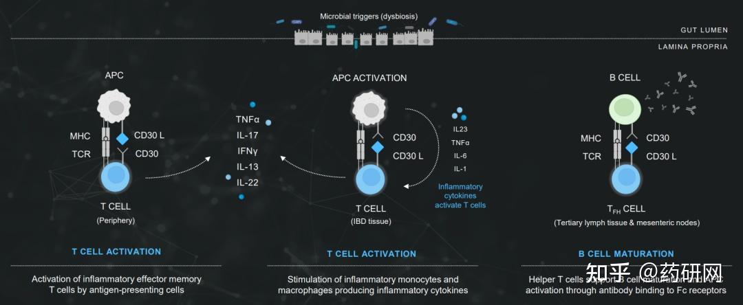 108亿美元，Prometheus管线及技术梳理 - 知乎