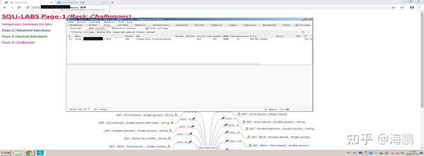 揭秘Brup Suite轻松捕捉本地数据包技巧，127.0.0.1/localhost域名（地址）抓包方法，chrome与edge抓包失败原因 ...