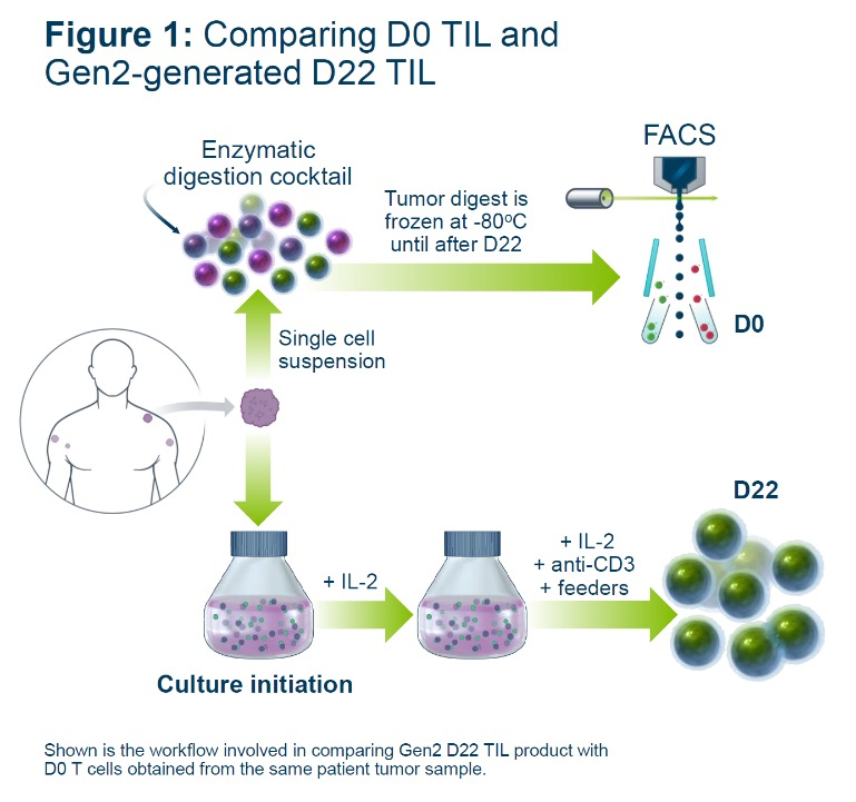 单细胞功能蛋白组学用于工艺流程优化研究方案——助力Iovance TIL 工艺优化_化工仪器网