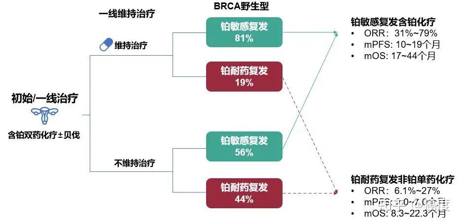 吴小华教授：BRCA野生型患者到底要不要维持治疗？怎么维持？ - 知乎