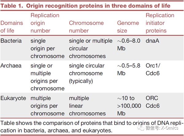 Molecular Cell | 真核生物DNA复制起始 - 知乎
