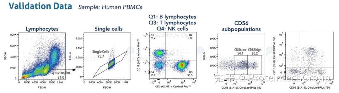 干货 | NK细胞标记物大盘点！ - 知乎