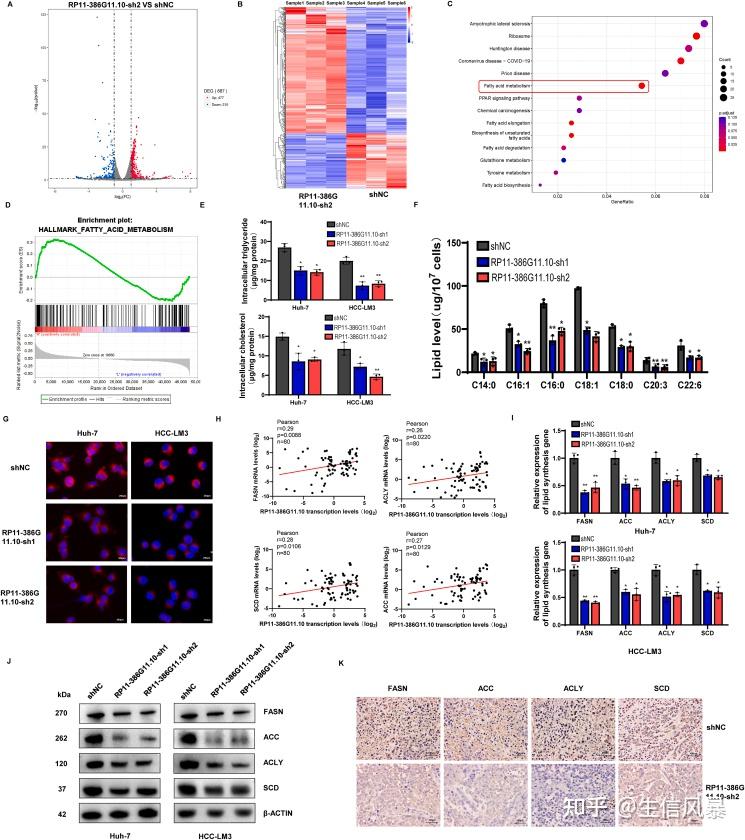 8+新型促癌lncRNA的生信思路 - 知乎