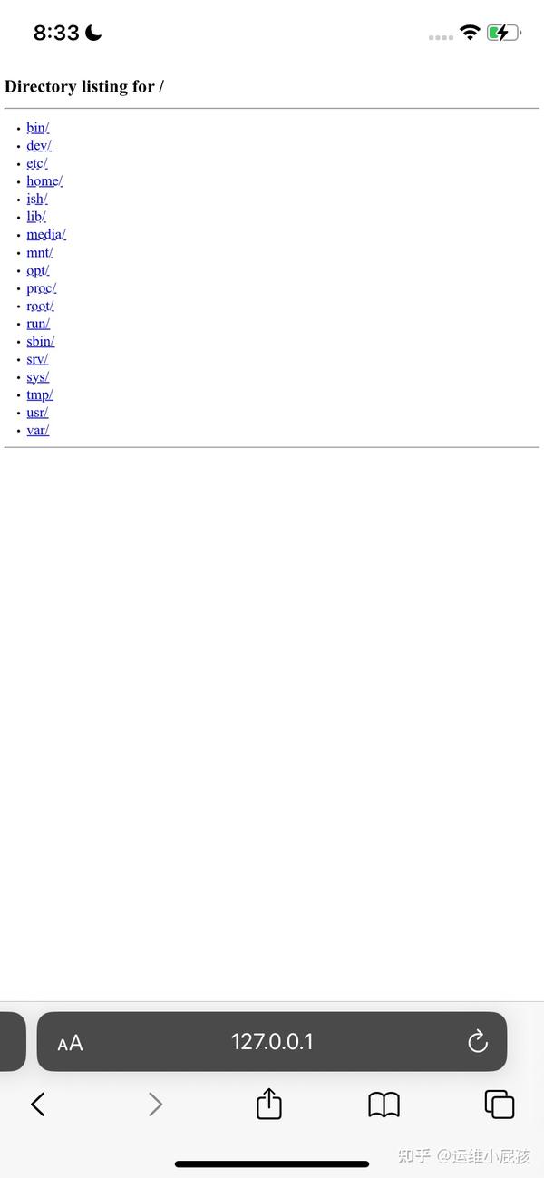 IOS上最好用的Linux终端仿真软件：ish 从入门到精通深度剖析 - 知乎