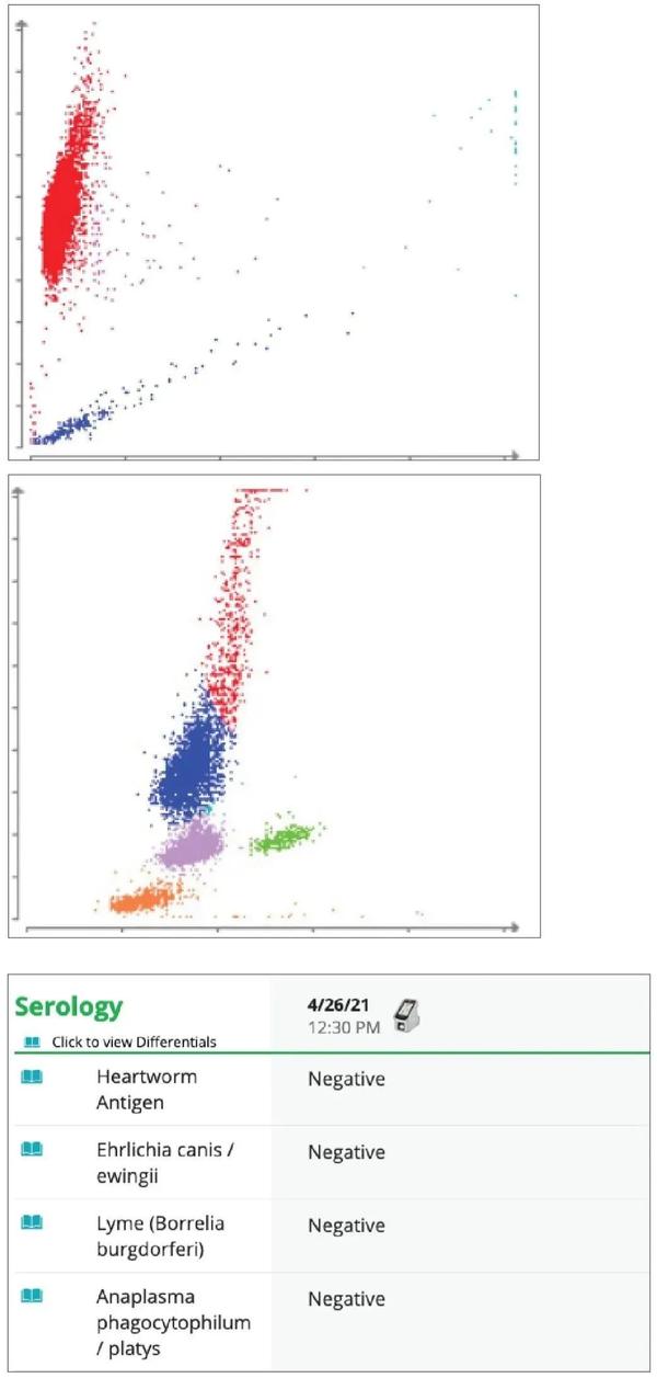 【宠医必读】犬猫无形体病案例分析：Victor - 知乎