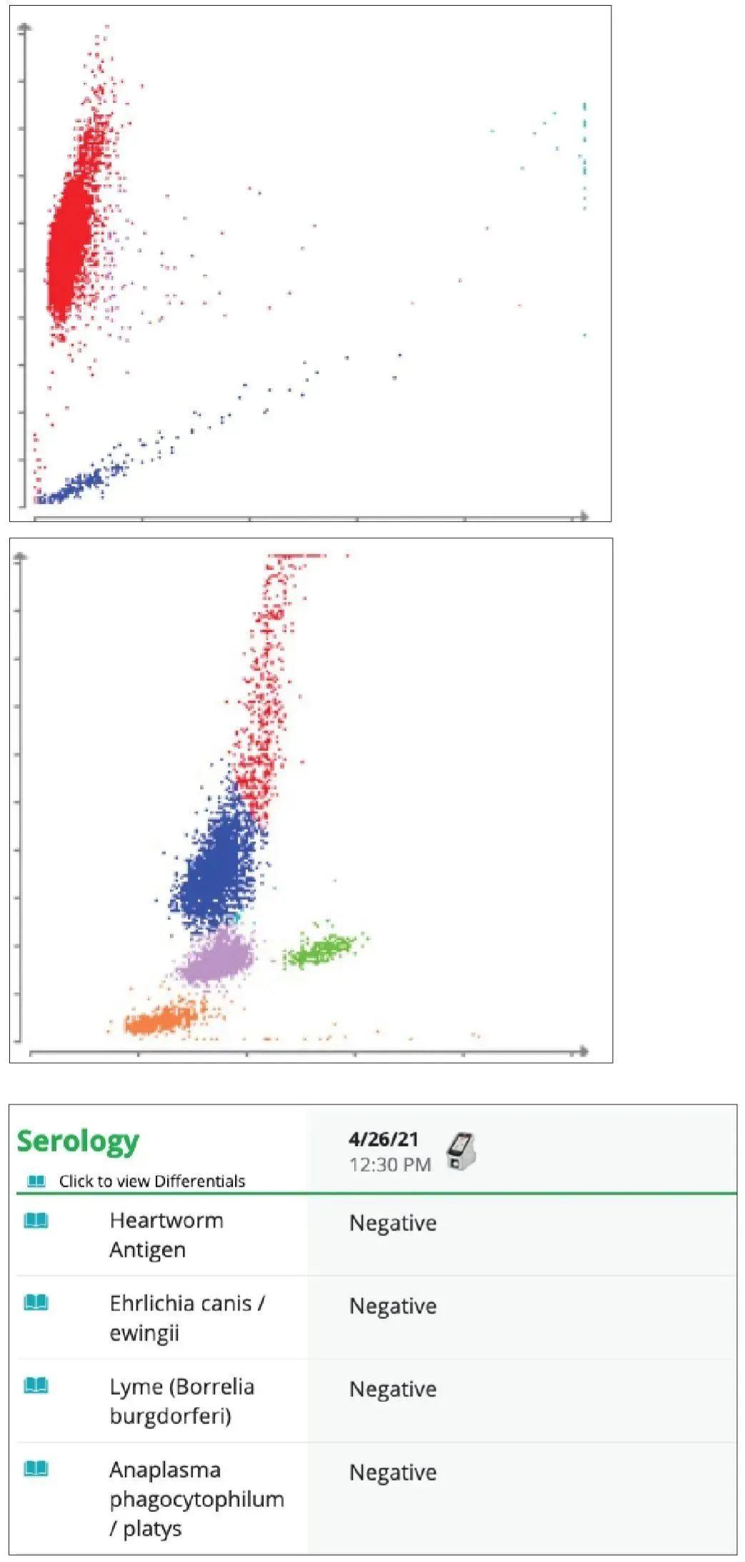 【宠医必读】犬猫无形体病案例分析：Victor - 知乎