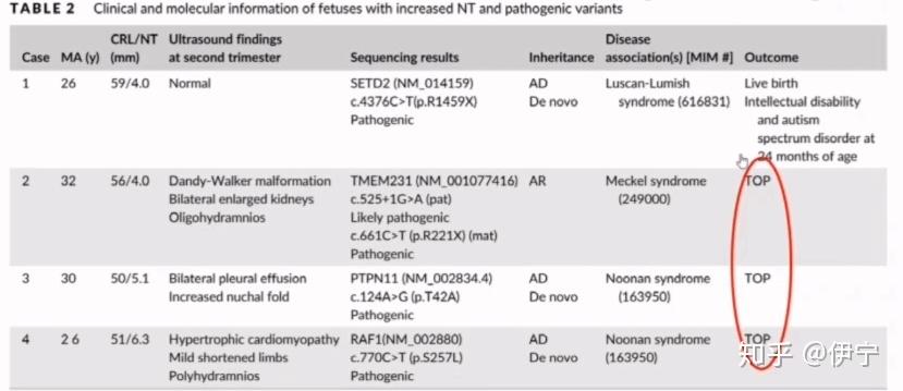 胎儿NT增厚，大半可能为虚惊一场 - 知乎