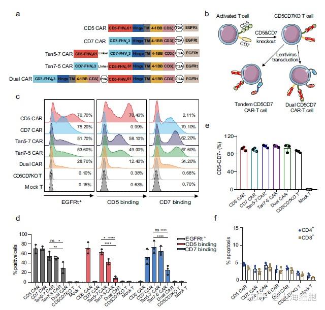 CAR-T疗法新思路：CD5/CD7串联CAR有效减轻肿瘤抗原逃逸 - 知乎