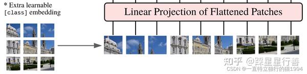 Vision Transformer (ViT) 代码实现PyTorch版本 - 知乎