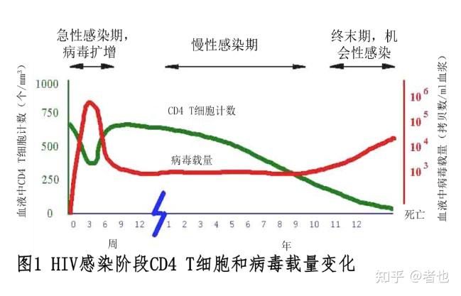 艾防科普 如何看待CD4和HIV病载数据 - 知乎