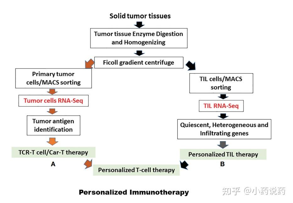 关于实体瘤中TIL疗效的三个问题 - 知乎