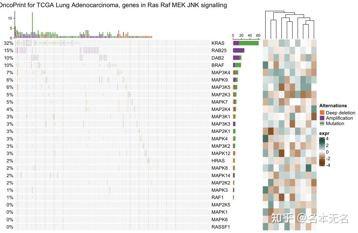 R 数据可视化 —— 聚类热图 ComplexHeatmap(五)oncoprint - 知乎