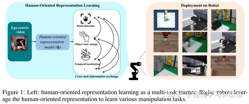 论文分享：HUMAN-ORIENTED REPRESENTATION LEARNING FOR ROBOTIC MANIPULATION - 知乎